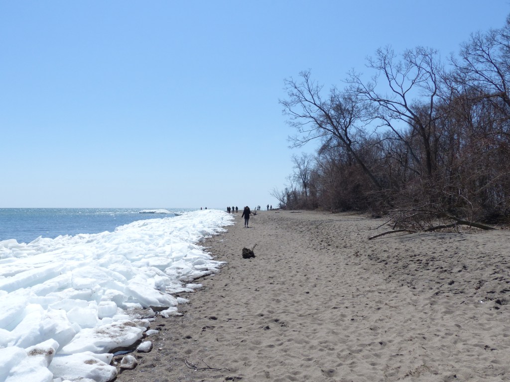 Point Pelee National Park – Brown Bear Travels