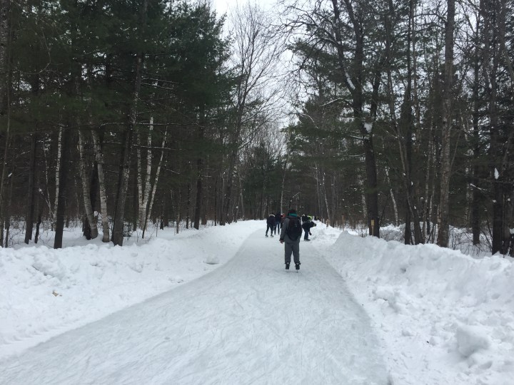 Skating at Arrowhead Provincial Park – Brown Bear Travels